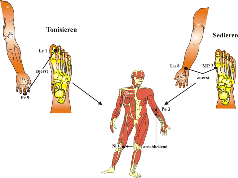 Becken – ROLF KRIEGER