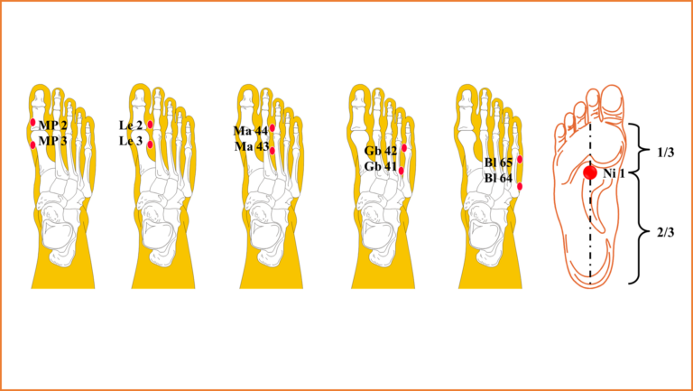Gangbild – ROLF KRIEGER
